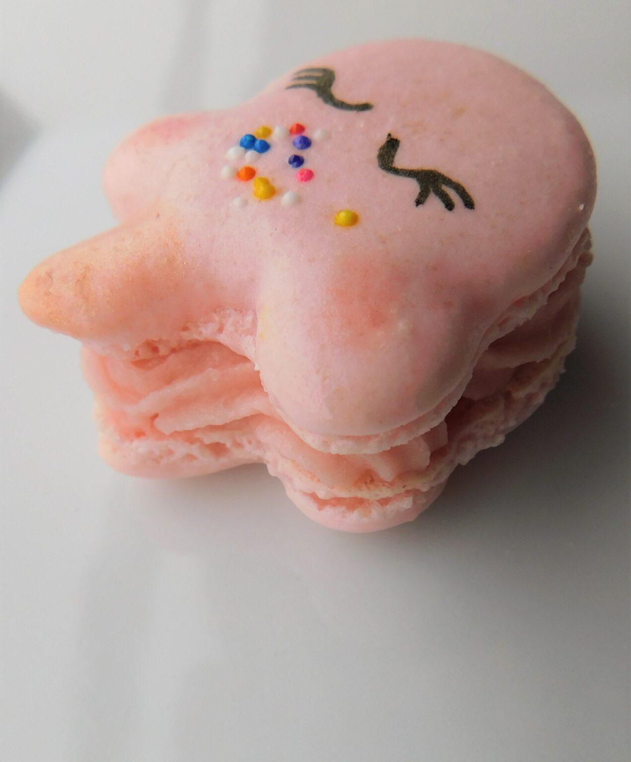 Raspberry Macaron Recipe - Kitchen Foliage