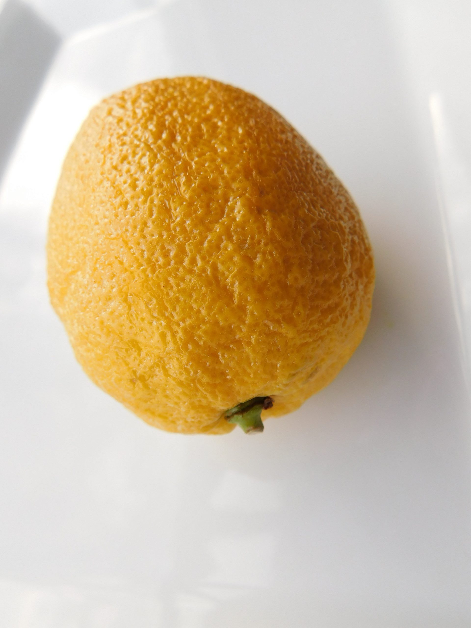 How Does Lemon Taste - Kitchen Foliage