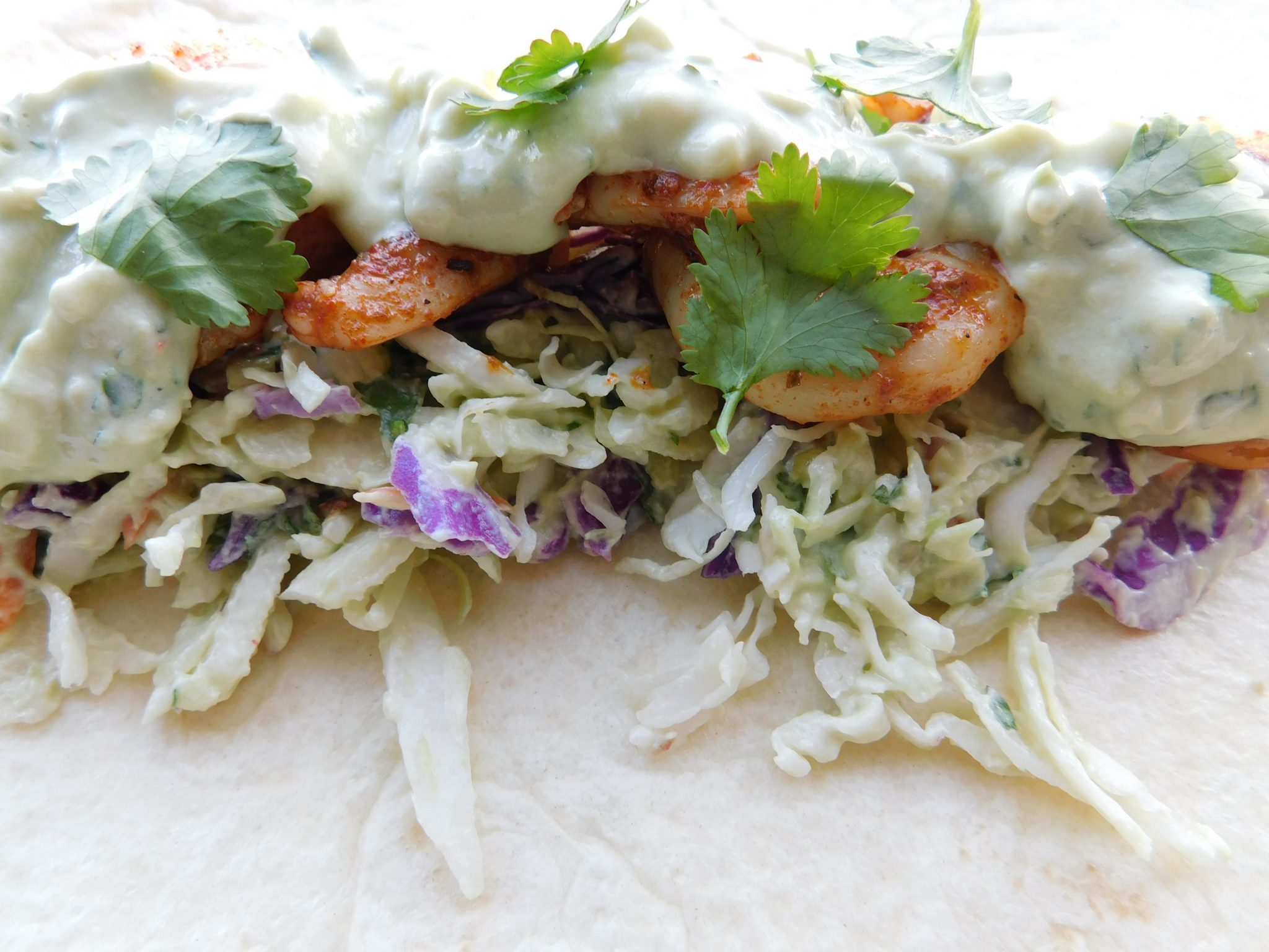 11 Types Of Taco Meat Kitchen Foliage 11-types-of-taco-meat-kitchen-foliage