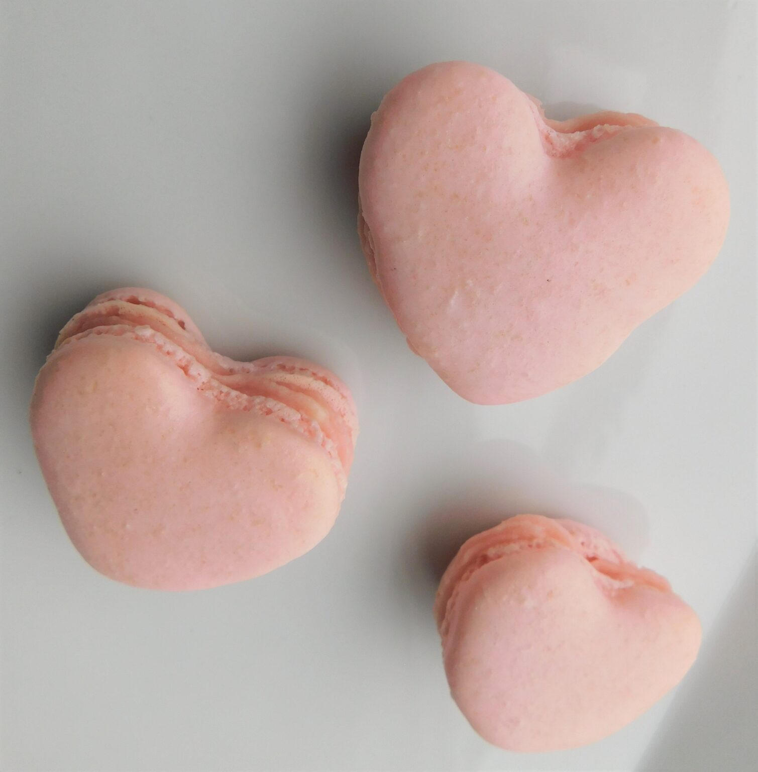 9 Printable Macaron Templates - Kitchen Foliage