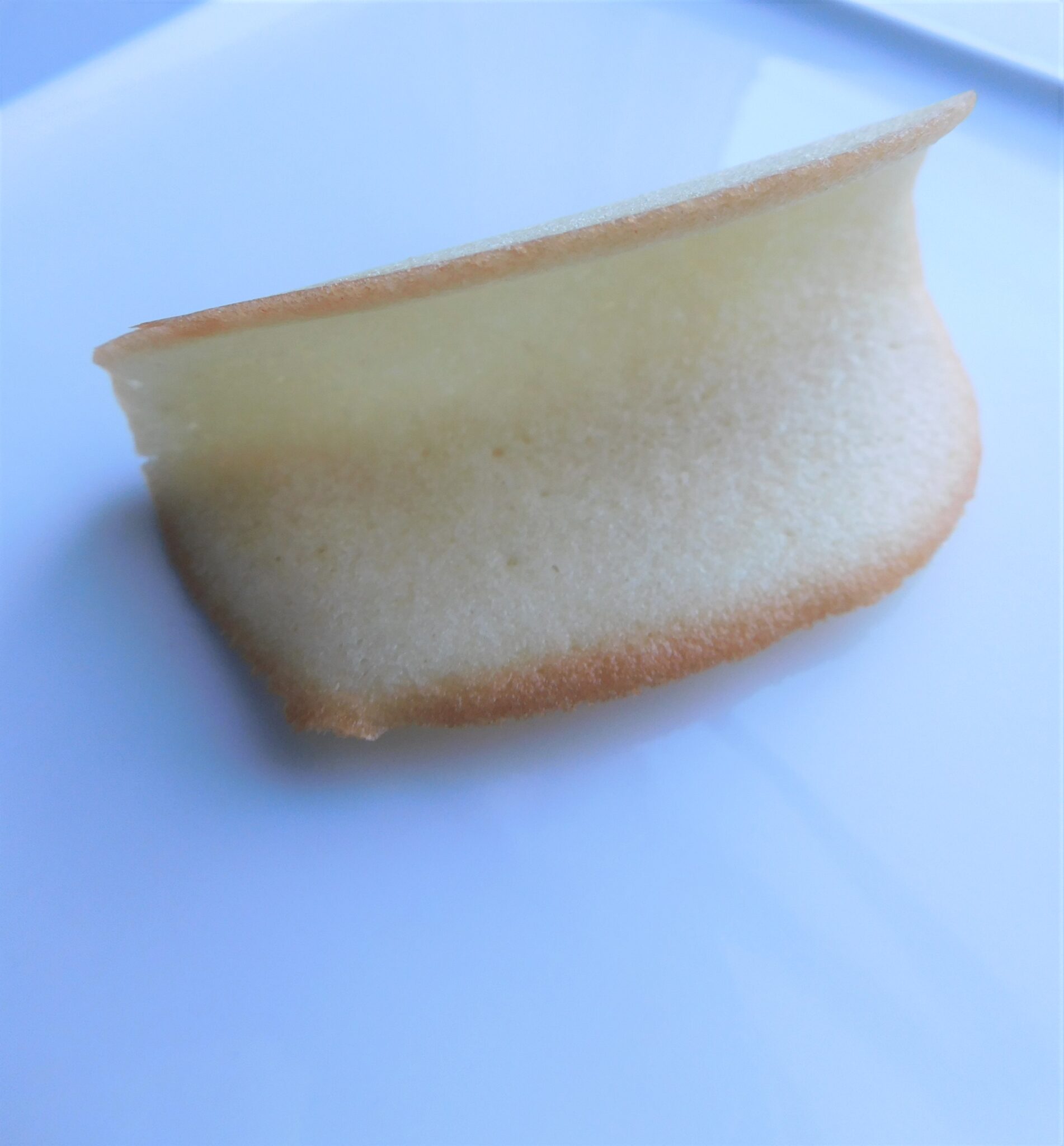 Tuile Cookies - Kitchen Foliage