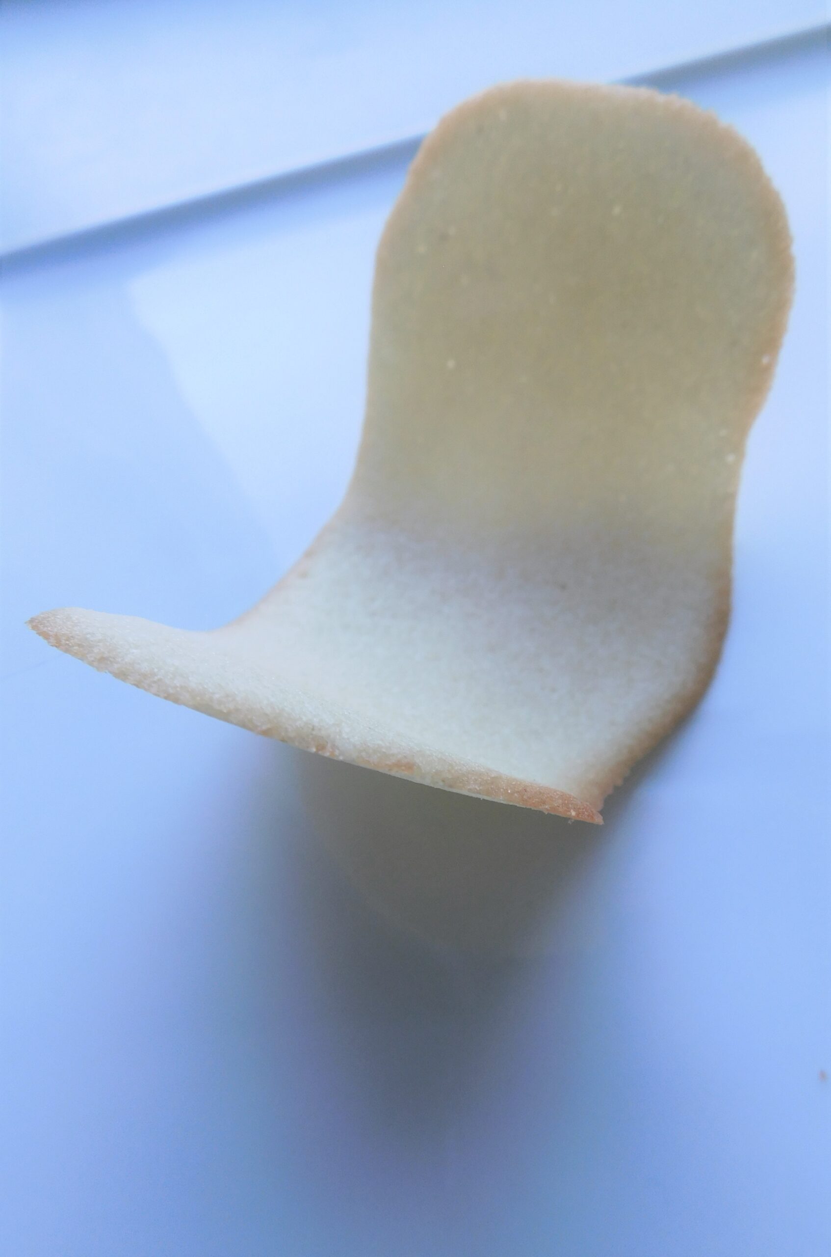 Tuile Cookies - Kitchen Foliage