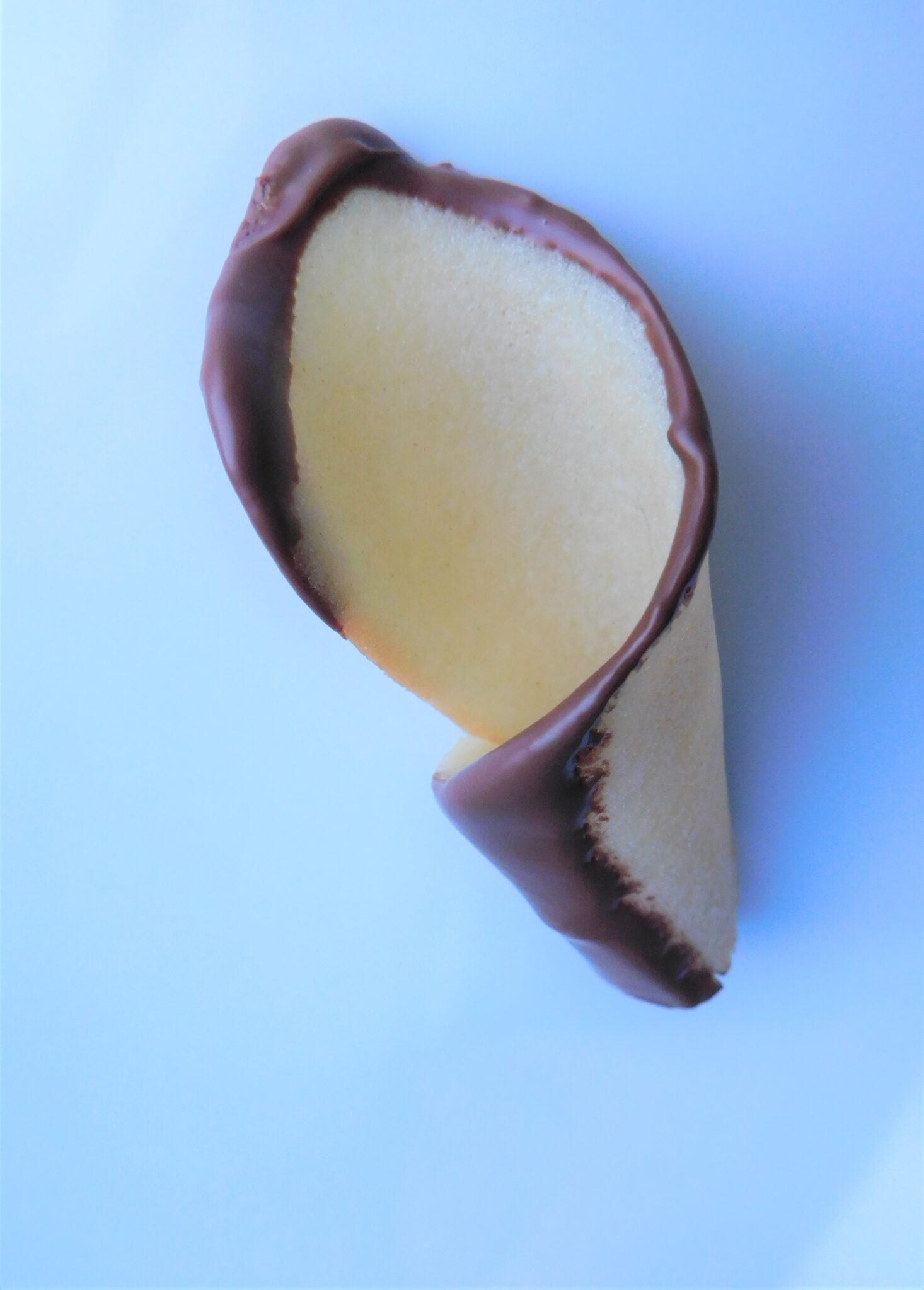 Tuile Cookies - Kitchen Foliage