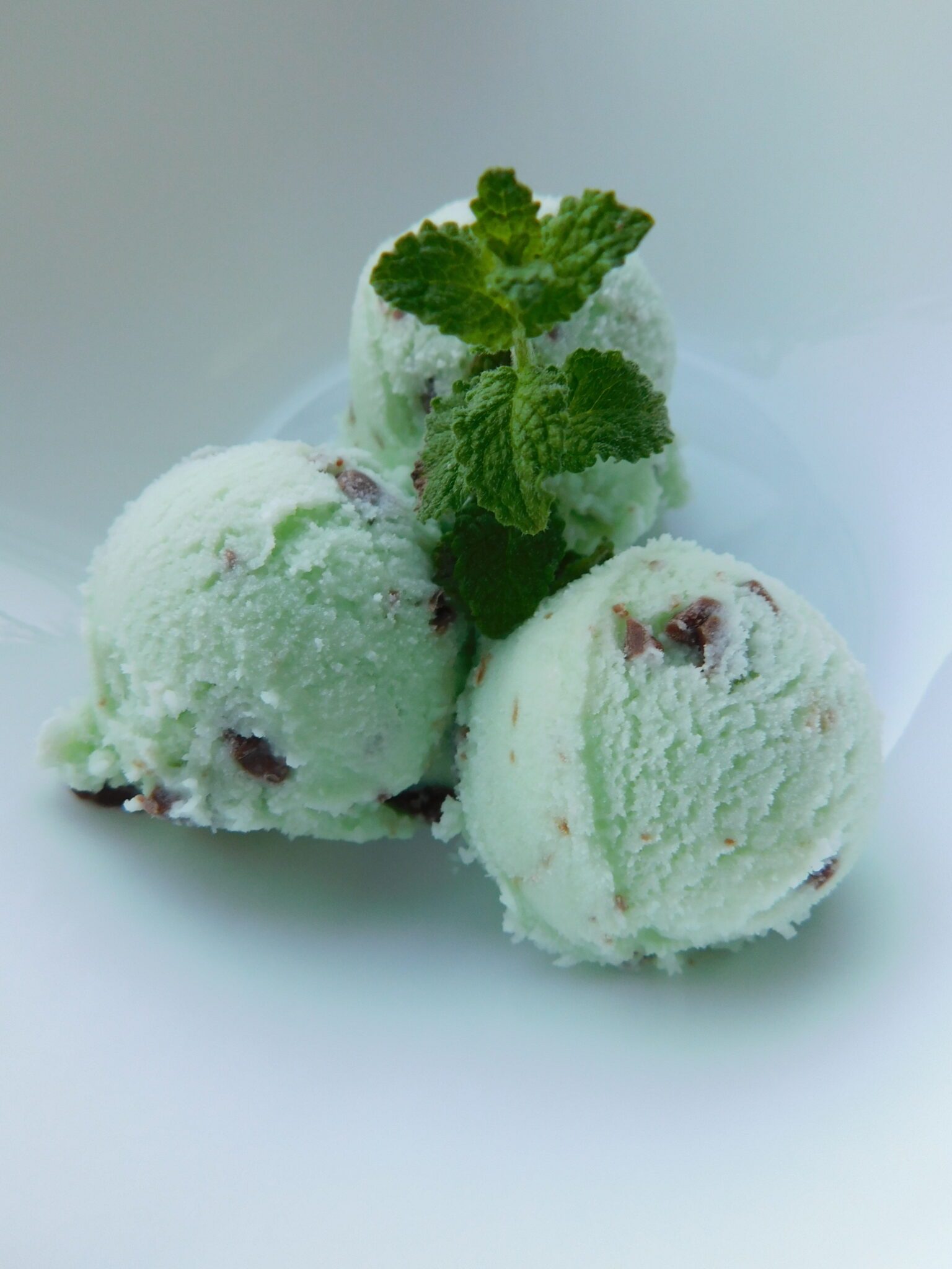 10 Mint Flavored Desserts - Kitchen Foliage